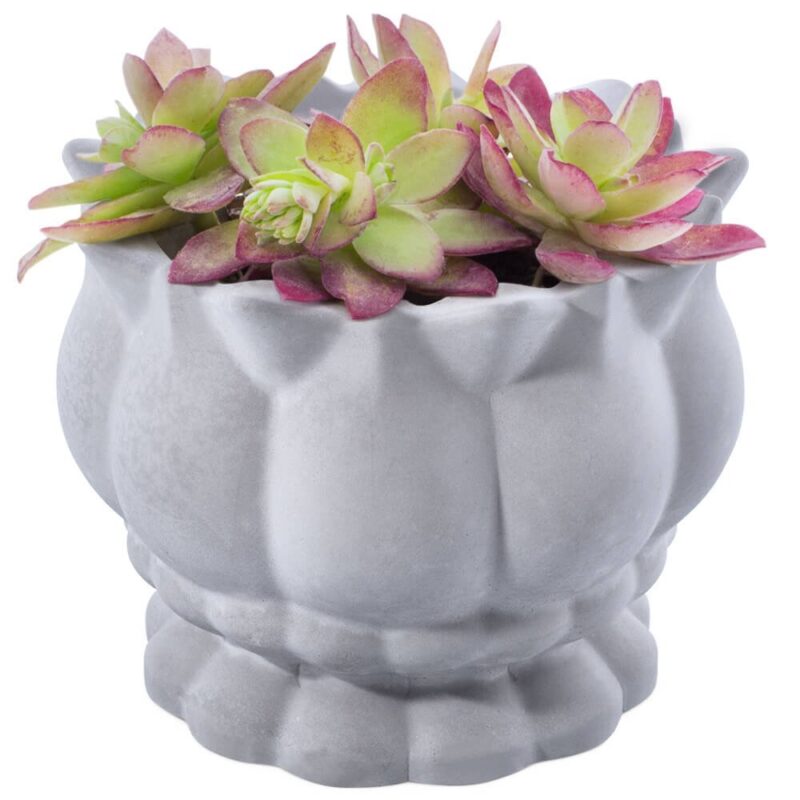 Molde nature para macetas de cemento - Hacer Cremas